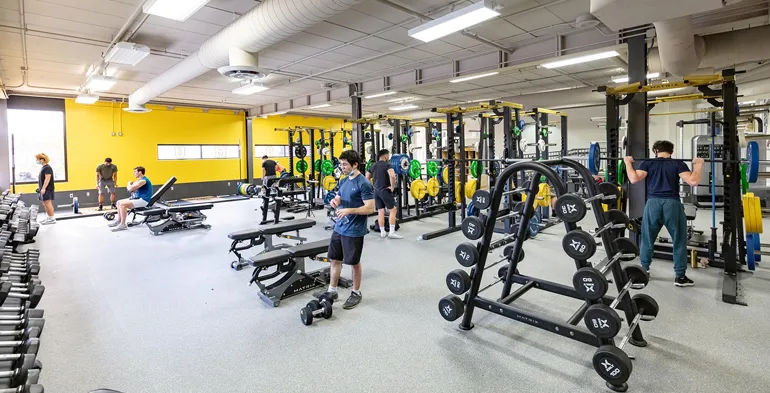 Modular Gym & Recreation Units | Custom LGS Builds